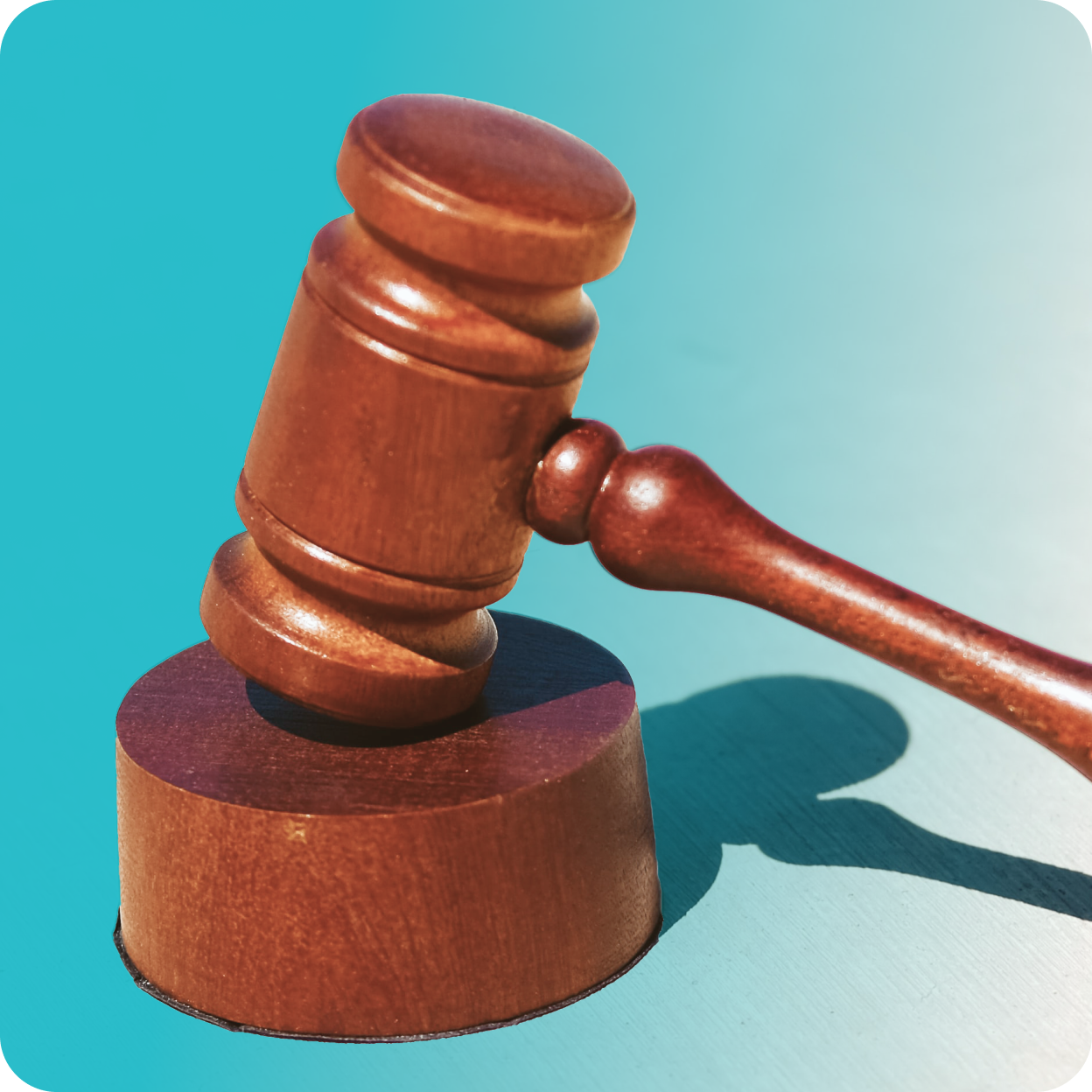 Hummingbird- Property Management Software